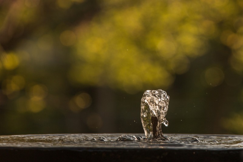 Gallery - ContemplativeGardens.org ContemplativeGardens.org